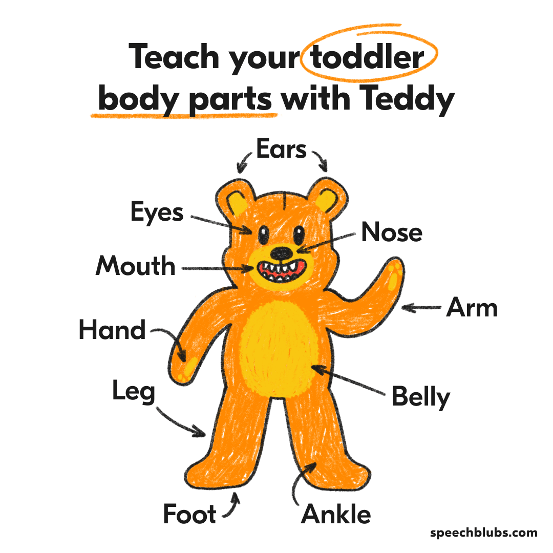Fun Easy Ways To Teach Body Parts For Toddlers Speech Blubs